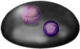 Sticky Goolix | Pikcanon-NOT | Fandom