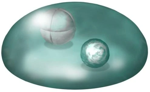 Frozen Goolix | Pikcanon-NOT | Fandom