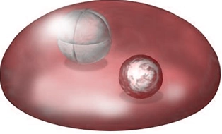 Lava Goolix | Pikcanon-NOT | Fandom