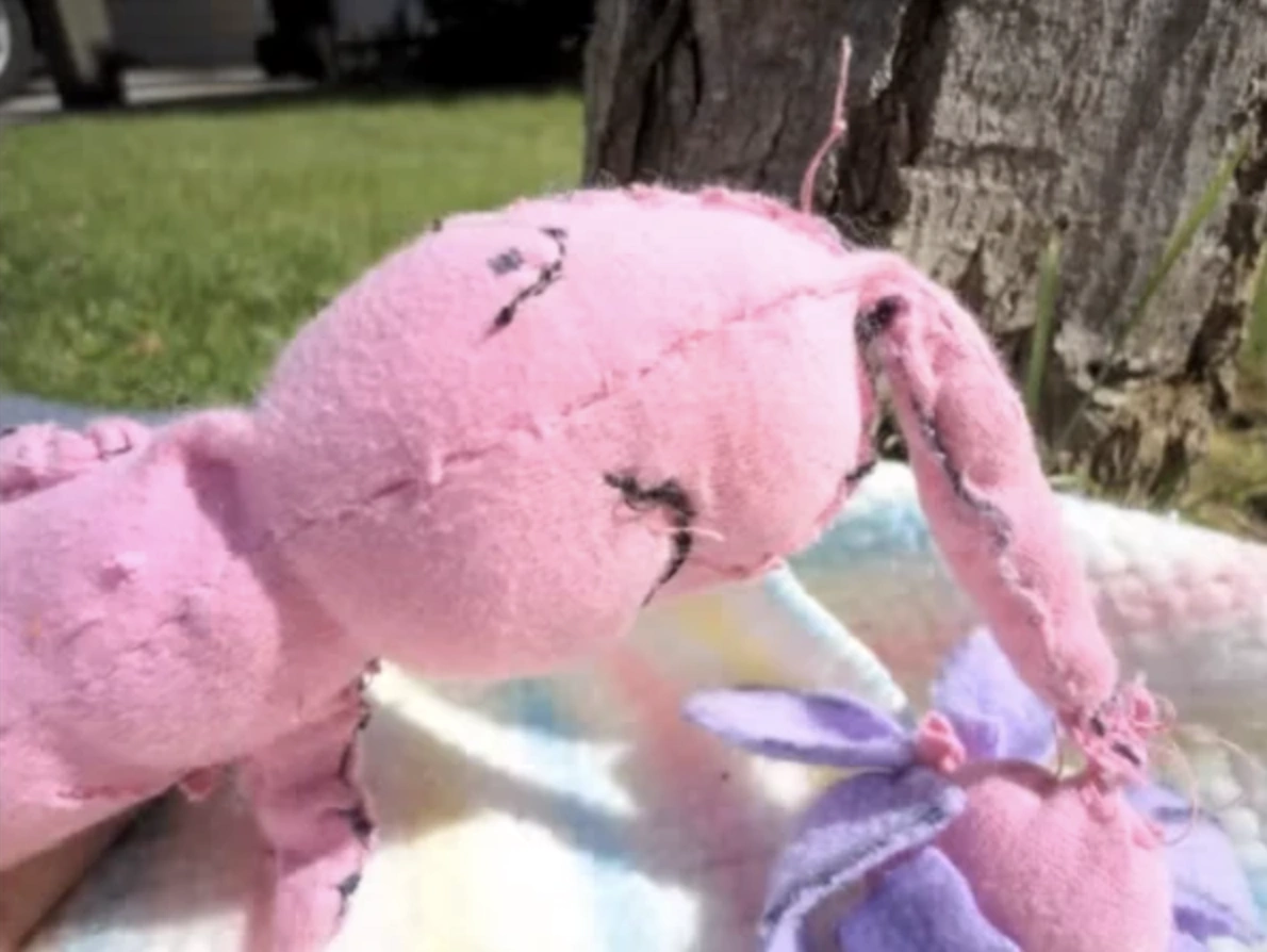 Insane Pink Pikmin | Pikminjake Wiki | Fandom