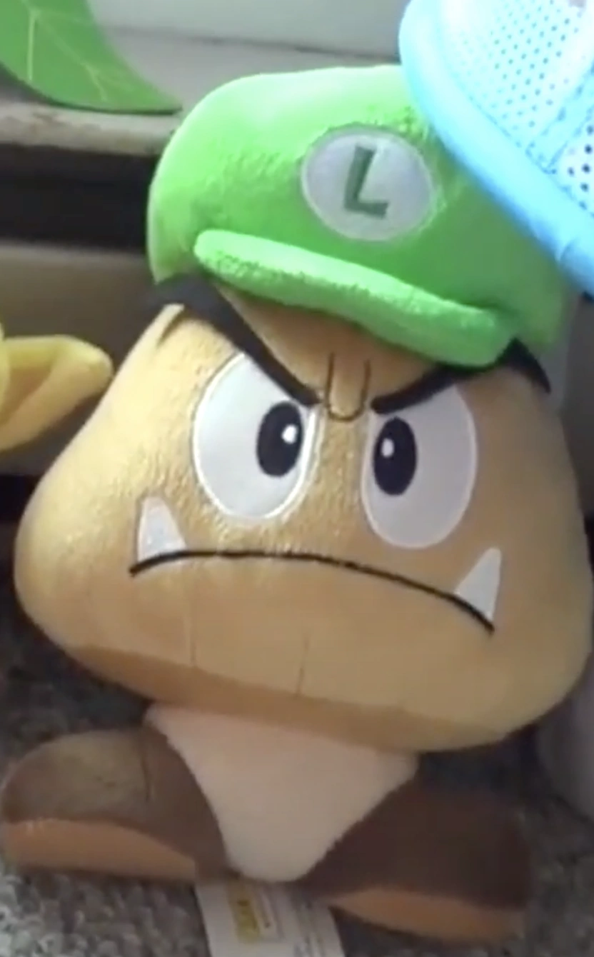 Goomba | Pikminjake Wiki | Fandom