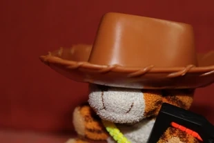 Romel | Pikminjake Wiki | Fandom