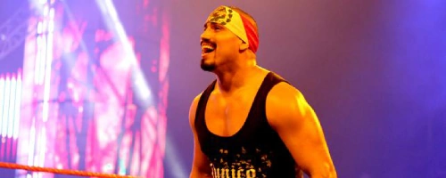 X-Hunico | Wiki Piledriver Wrestling Federation | Fandom