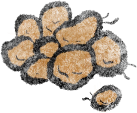 Potatoes | Pilgrims Wiki | Fandom