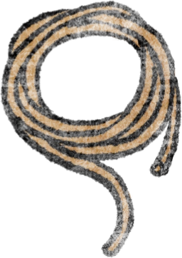 Rope | Pilgrims Wiki | Fandom