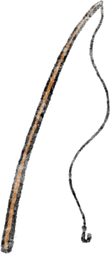 Fishing Rod | Pilgrims Wiki | Fandom