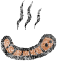 Grilled Worm | Pilgrims Wiki | Fandom