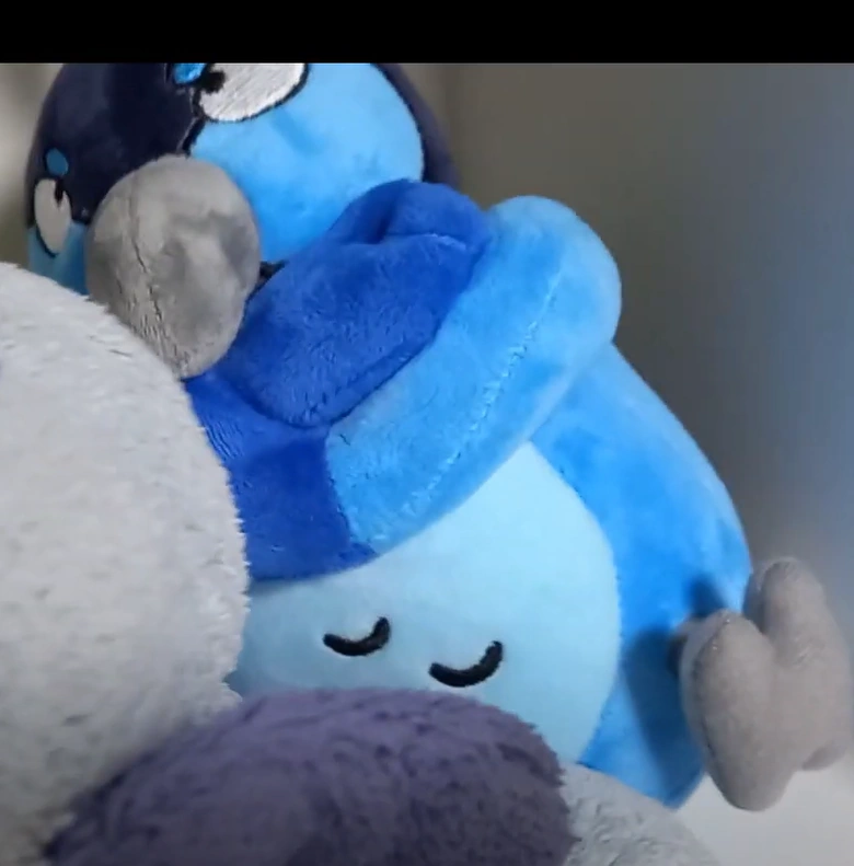 Ari | Pillow Dog Wiki | Fandom