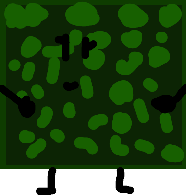 Nori Leaf | Battle for Dream Island Fanon Wiki | Fandom