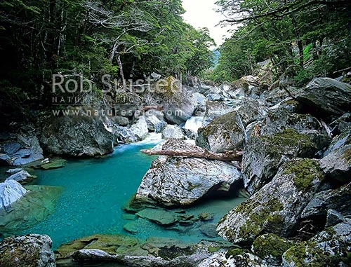 Bluewater River | Pineclan Roleplay Wiki | Fandom