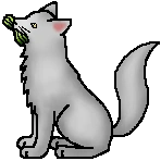 Featherwhisker | Pinefrost Wiki | Fandom