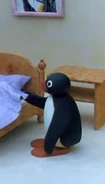 Pingu (całe) | Pingu Wiki | Fandom