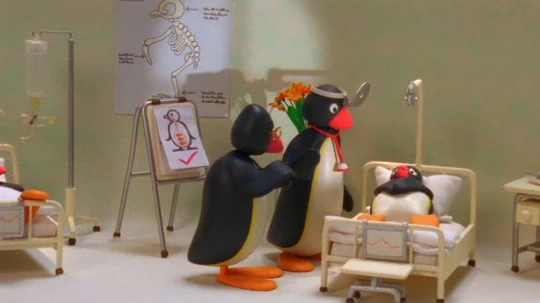 Odcinek 11 | Pingu Wiki | Fandom
