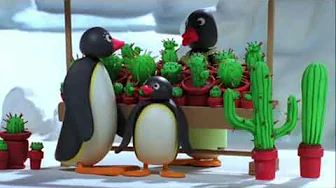 Odcinek 9 | Pingu Wiki | Fandom
