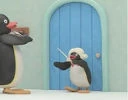 Pingu (całe) | Pingu Wiki | Fandom