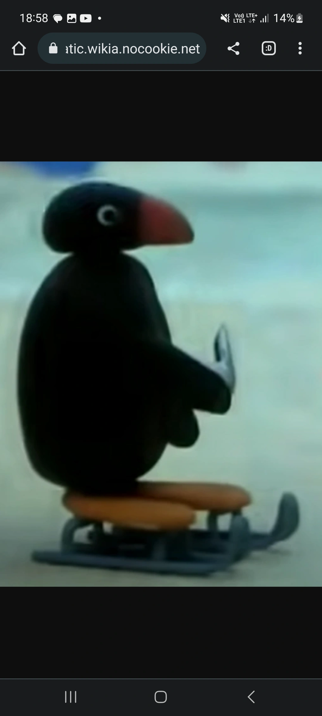 Sędzia | Pingu Wiki | Fandom