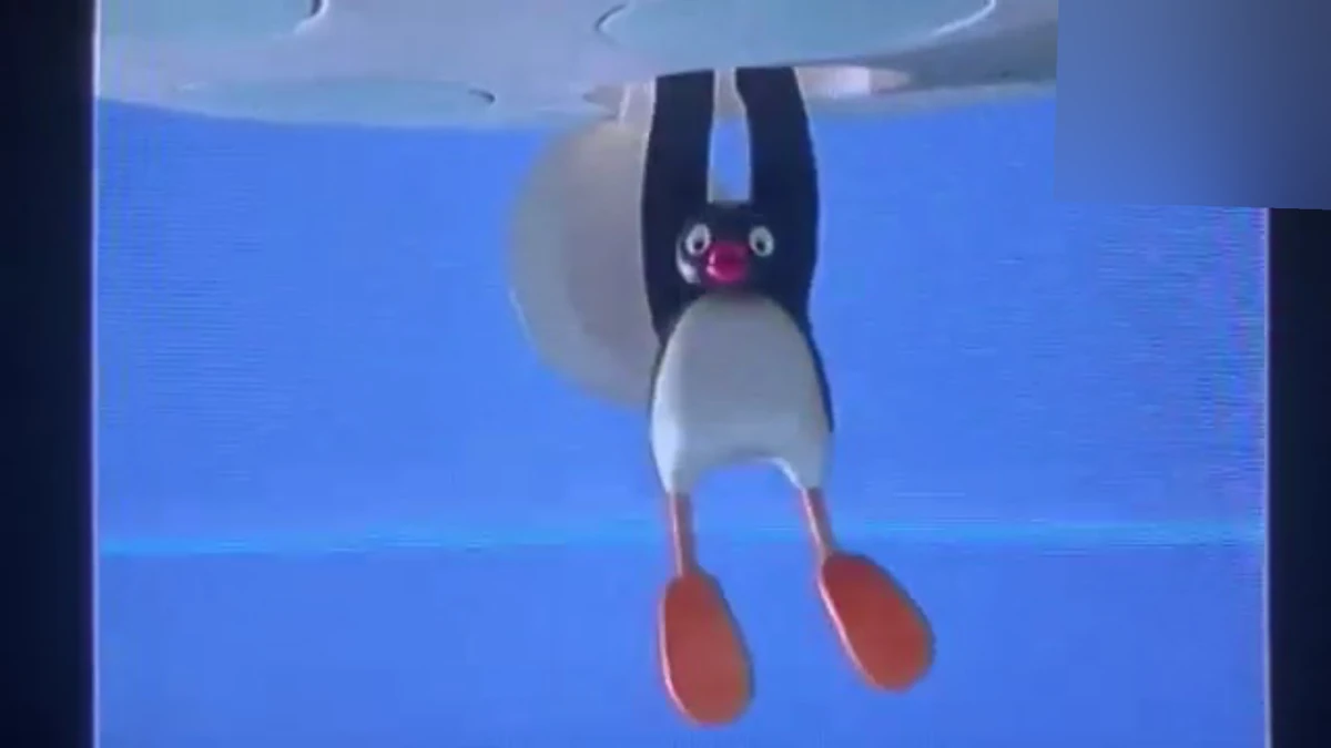 Superhero and Letter | Pingu Wiki | Fandom