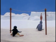 Pingu Plays Fish Tennis | Pingu Wiki | Fandom