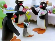 Pingu At The Wedding Party | Pingu Wiki | Fandom