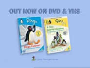 Pingu Forever! (DVD) | Pingu Wiki | Fandom