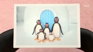 Grandpa (paternal) | Pingu Wiki | Fandom