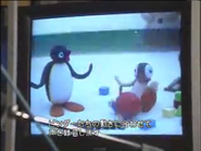 Behind the Scenes | Pingu Wiki | Fandom