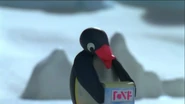 Pingg | Pingu Wiki | Fandom