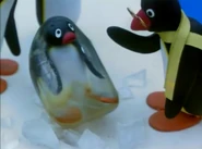 Pingu Takes Revenge | Pingu Wiki | Fandom