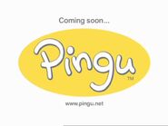 Pingu Forever! (DVD) | Pingu Wiki | Fandom