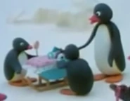 Pengy | Pingu Wiki | Fandom