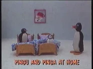 Pingu and Pinga at Home | Pingu Wiki | Fandom
