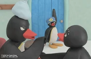 Pingu's Mother | Pingu Wiki | Fandom