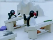 Pingi | Pingu Wiki | Fandom