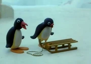 Lost Baby | Pingu Wiki | Fandom