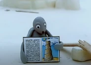 Robby | Pingu Wiki | Fandom