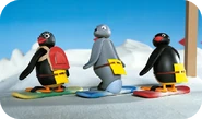 Robby | Pingu Wiki | Fandom