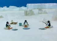 Pingo | Pingu Wiki | Fandom