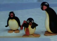 Pingo | Pingu Wiki | Fandom
