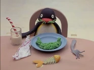 Hello, Pingu | Pingu Wiki | Fandom