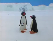 Pingu at the Doctor's | Pingu Wiki | Fandom