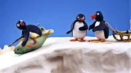 Pingo | Pingu Wiki | Fandom