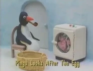 Pingu Looks After the Egg | Pingu Wiki | Fandom