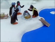 List of minor characters | Pingu Wiki | Fandom