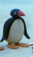 Pingg | Pingu Wiki | Fandom
