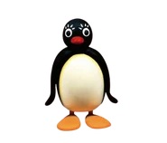 Pingi | Pingu Wiki | Fandom
