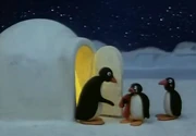 Lost Baby | Pingu Wiki | Fandom