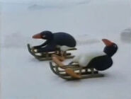 Sledging | Pingu Wiki | Fandom