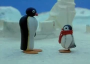 Lost Baby | Pingu Wiki | Fandom