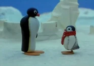 Pinga | Pingu Wiki | Fandom