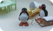 Pingo/Gallery | Pingu Wiki | Fandom